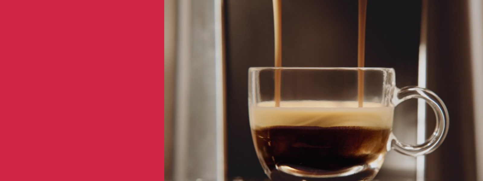 Nos dosettes de cafés | Senseo FR | Senseo FR